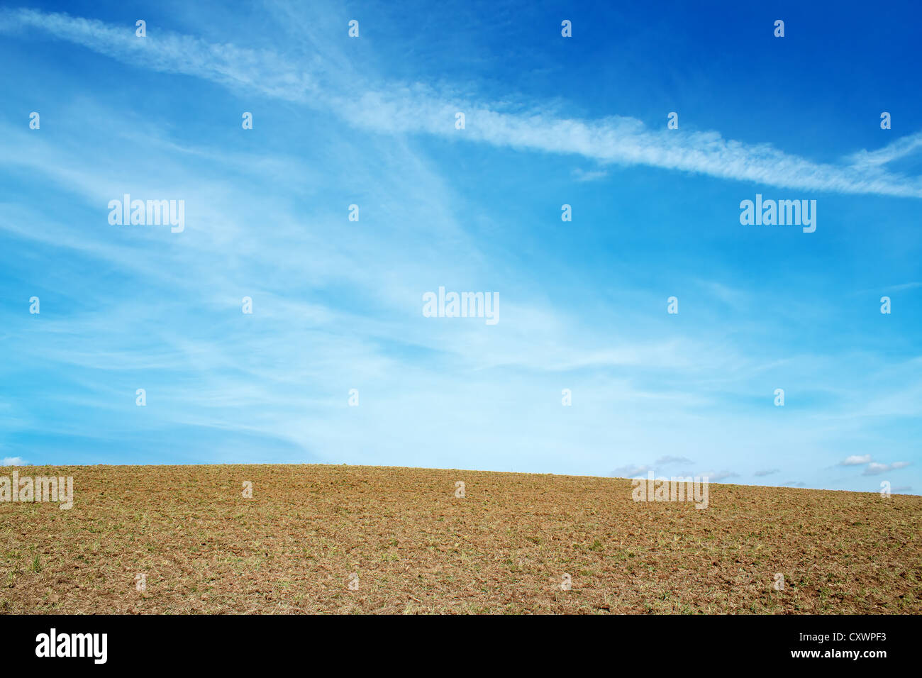 Nice autumn field with clear horizont and blue sky Stock Photo - Alamy