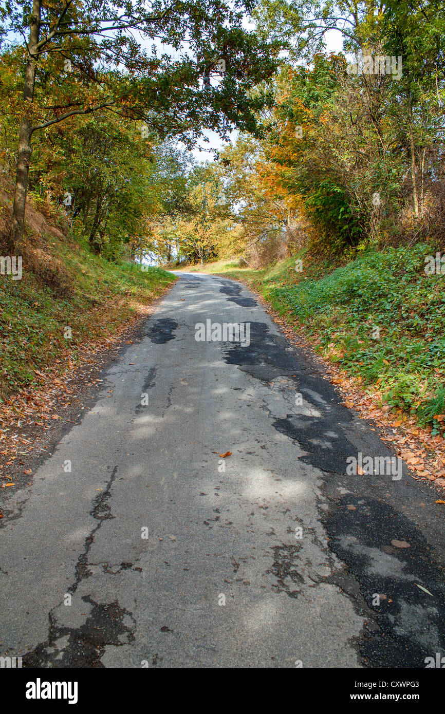 Road in the autumn with yellow trees Stock Photo - Alamy