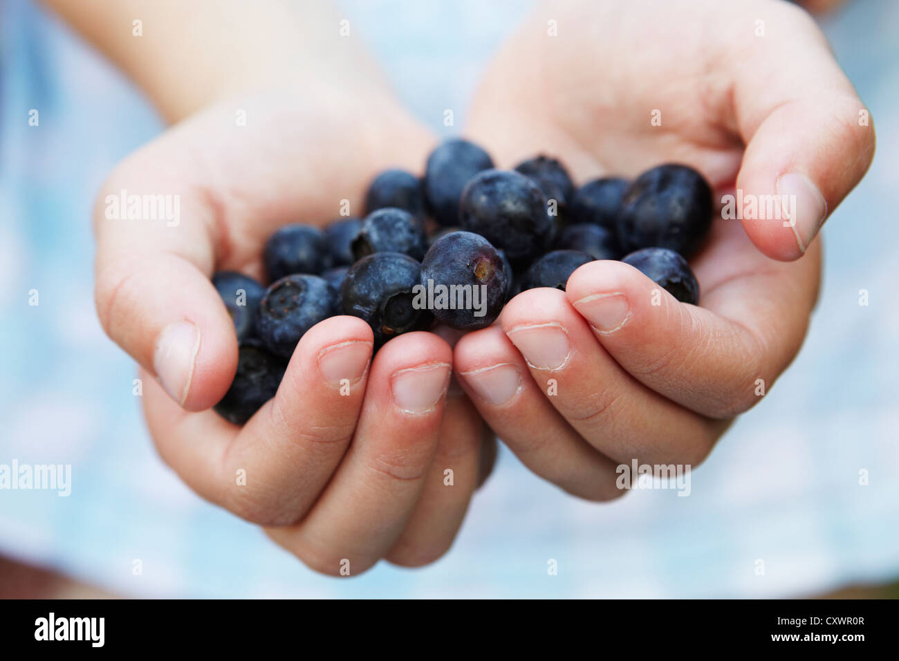 Blueberries hi-res stock photography and images - Alamy