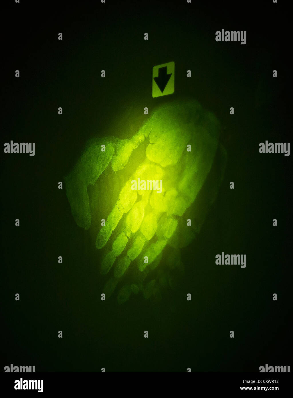 Crime scene lab hi-res stock photography and images - Alamy