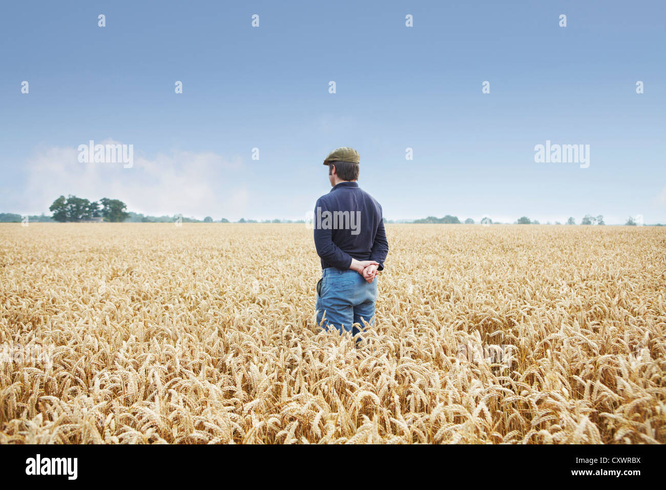 Farmer standing in field of wheat Stock Photo - Alamy
