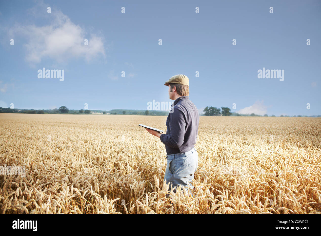 Farmer tablet england hi-res stock photography and images - Alamy