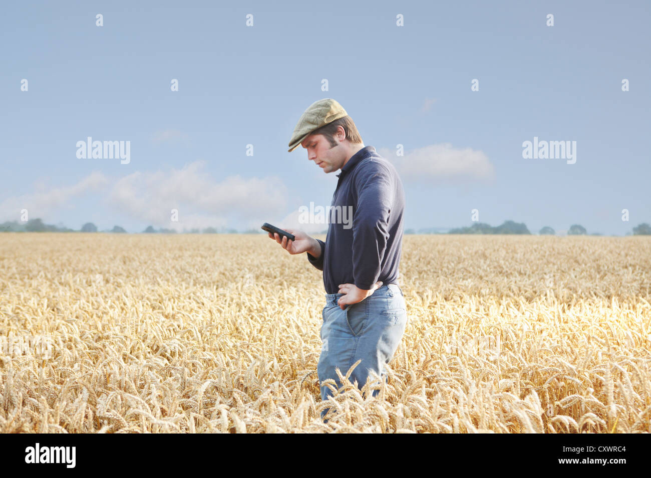 Farmer using cell phone in crop field Stock Photo - Alamy