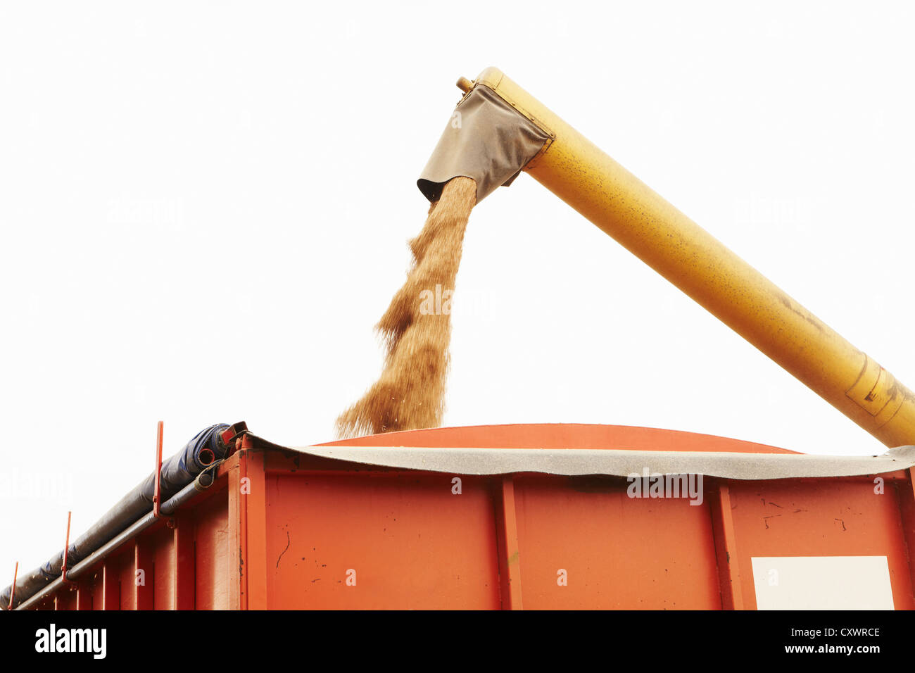 Grain elevator pouring into container Stock Photo - Alamy