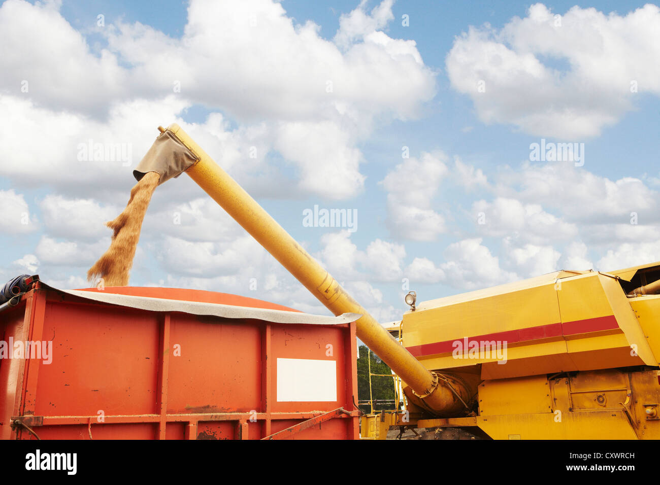 Grain elevator pouring into container Stock Photo - Alamy