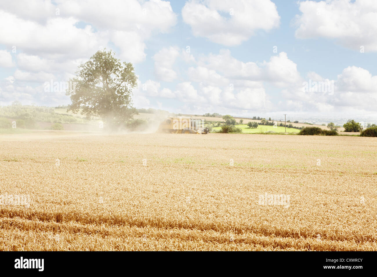 Transporting crop hi-res stock photography and images - Alamy
