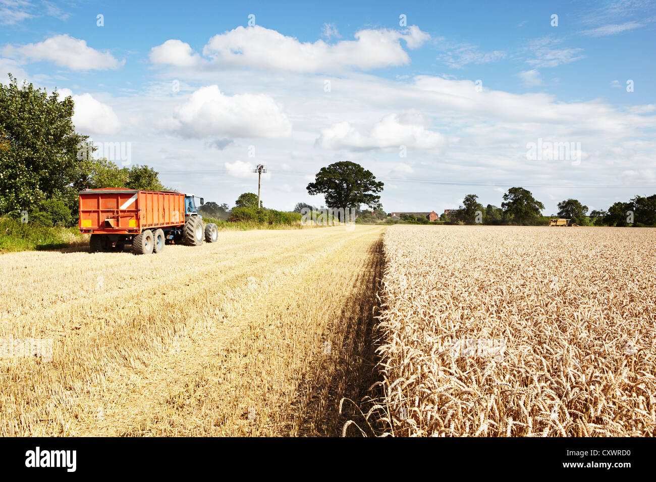 Tractor driving in harvested crop field Stock Photo - Alamy