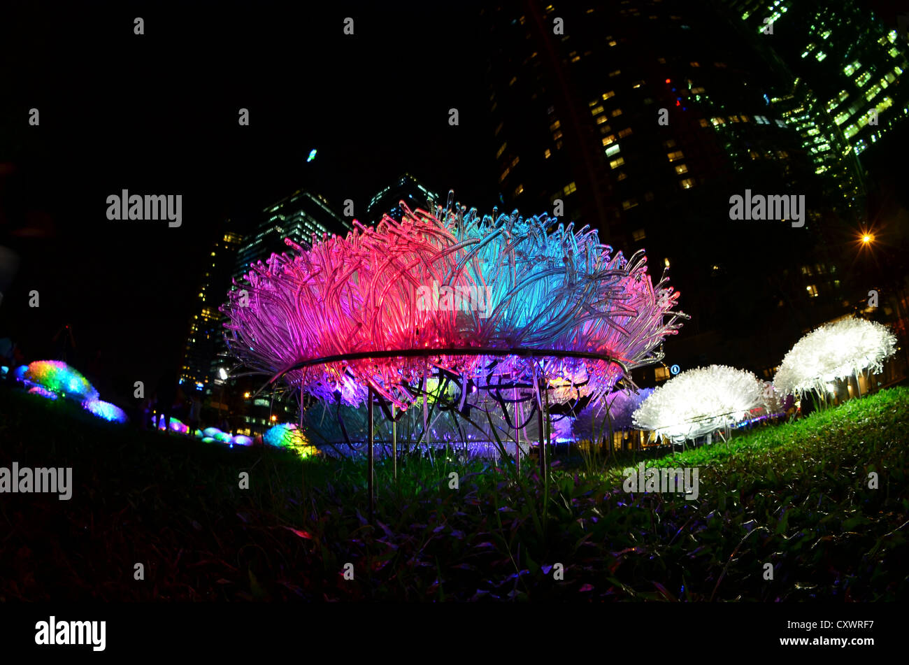 colorful LED flower light display in the city Stock Photo - Alamy