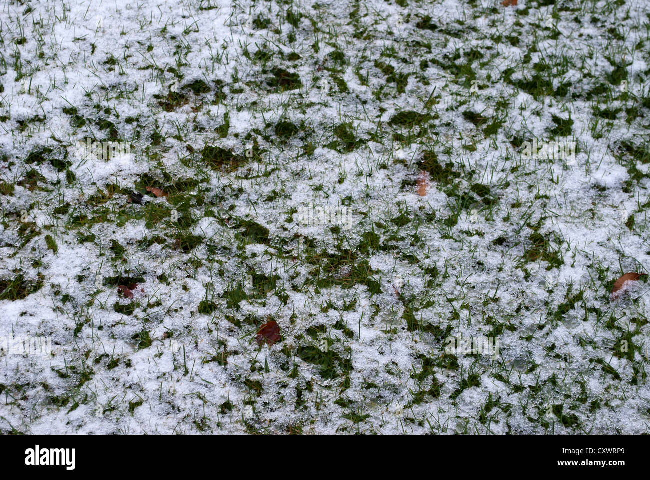 Close of up of grass lawn with scattered partially melted snow Stock ...