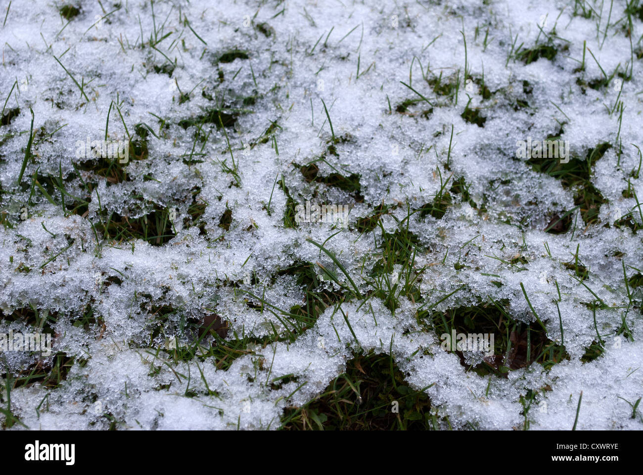 Close of up of grass lawn with scattered partially melted snow Stock ...