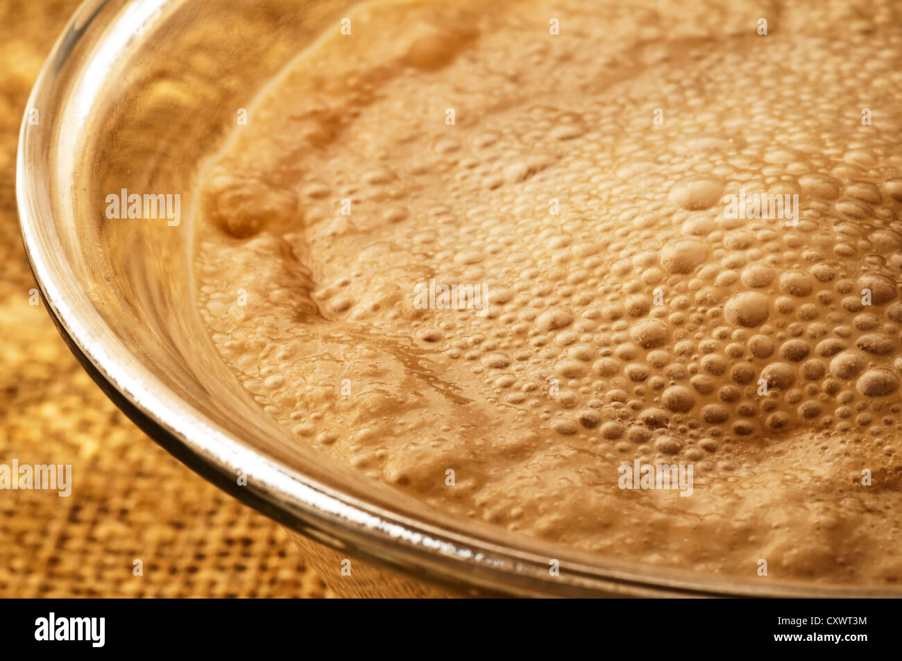 Saccharomyces cerevisiae hi-res stock photography and images - Alamy