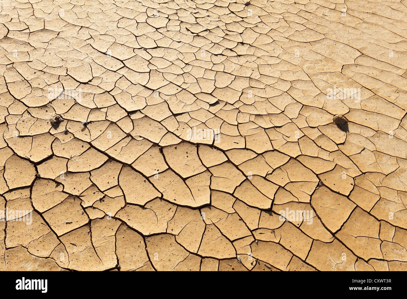 Cracked soil in the desert Stock Photo - Alamy
