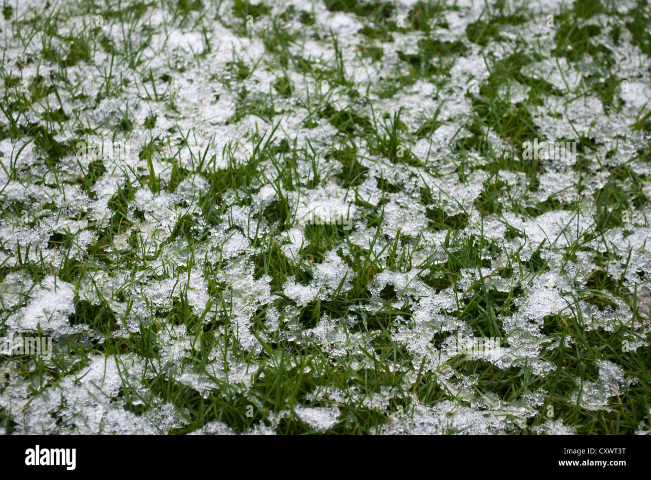 Close of up of grass lawn with scattered partially melted snow Stock ...