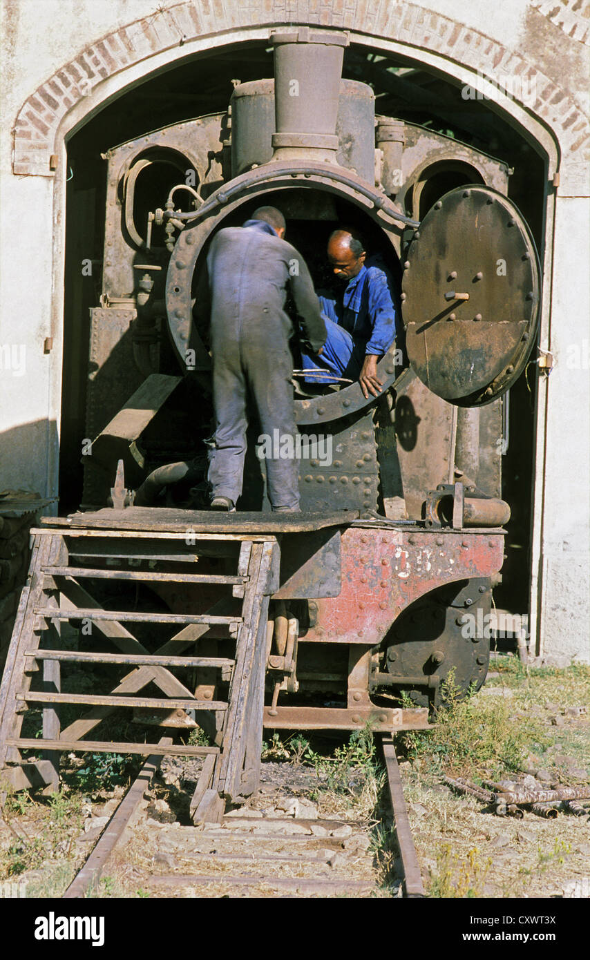 Scene at the steam depot in Asmara in 1998 shows 0-4-0 Well Tank built ...