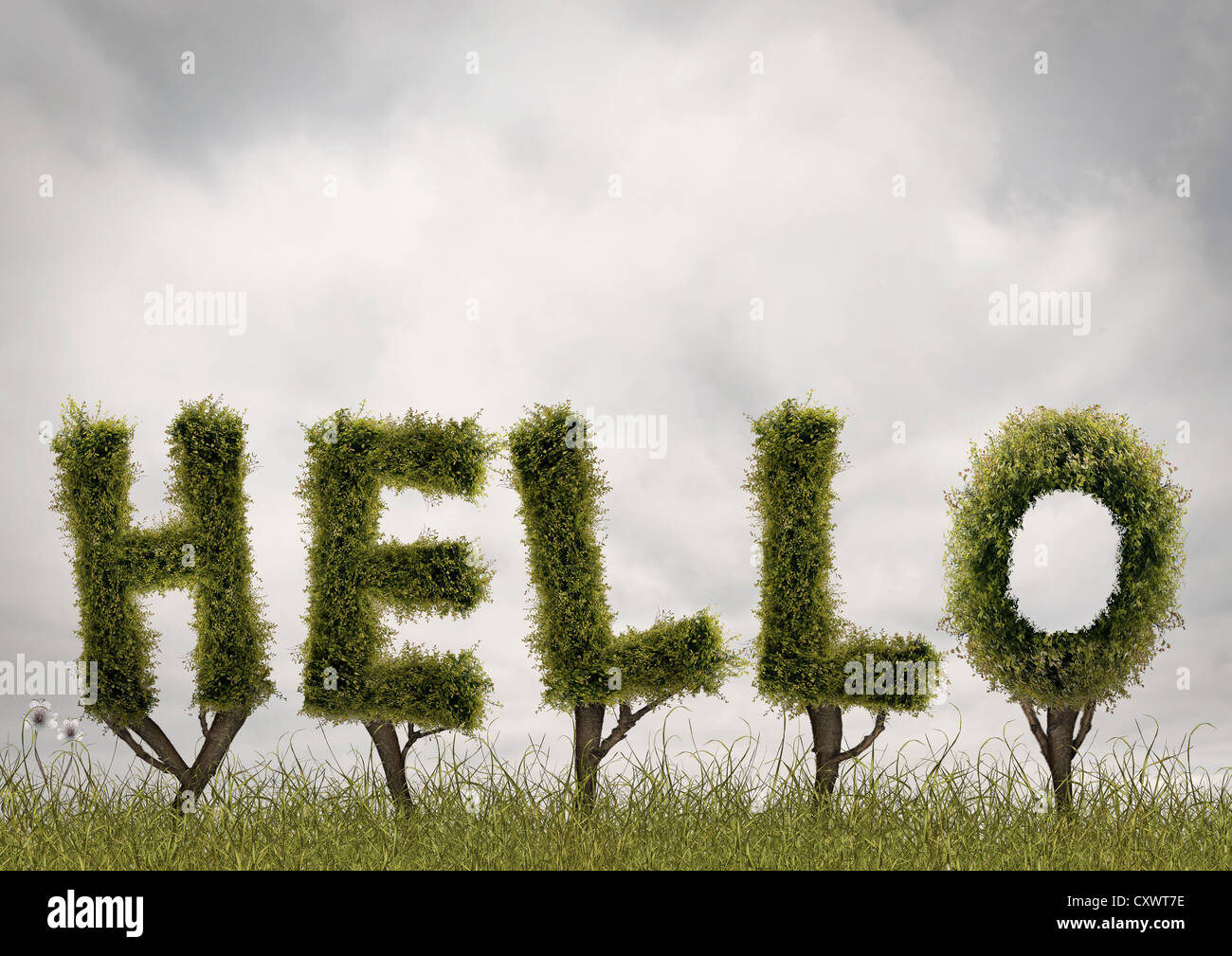 Shrubs trimmed to read hello Stock Photo - Alamy