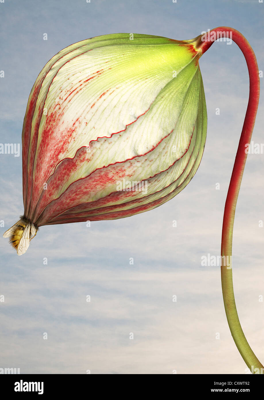 Triffid hi-res stock photography and images - Alamy