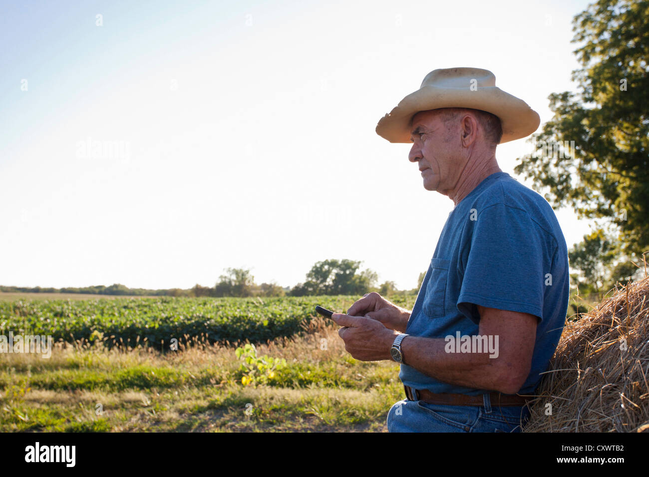 Farmer using cell phone by hay bales Stock Photo - Alamy