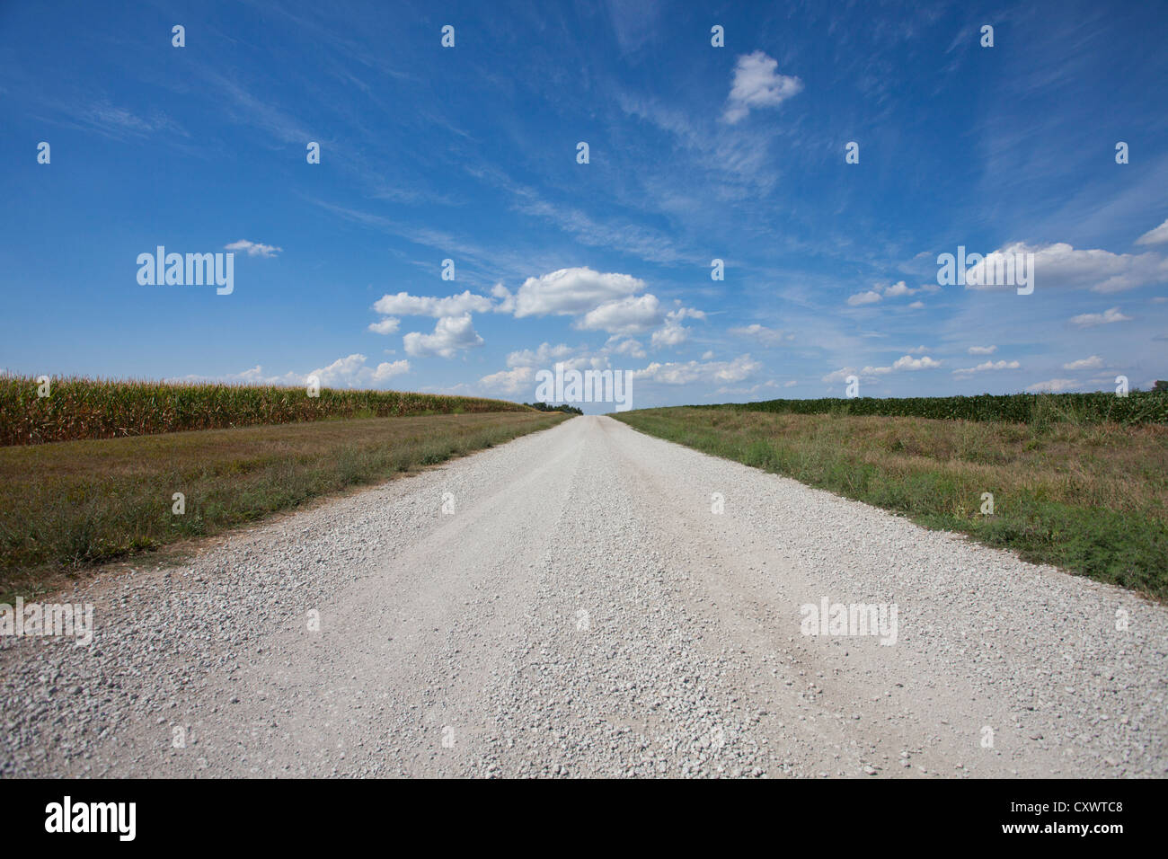 Rural gravel road under blue sky Stock Photo - Alamy