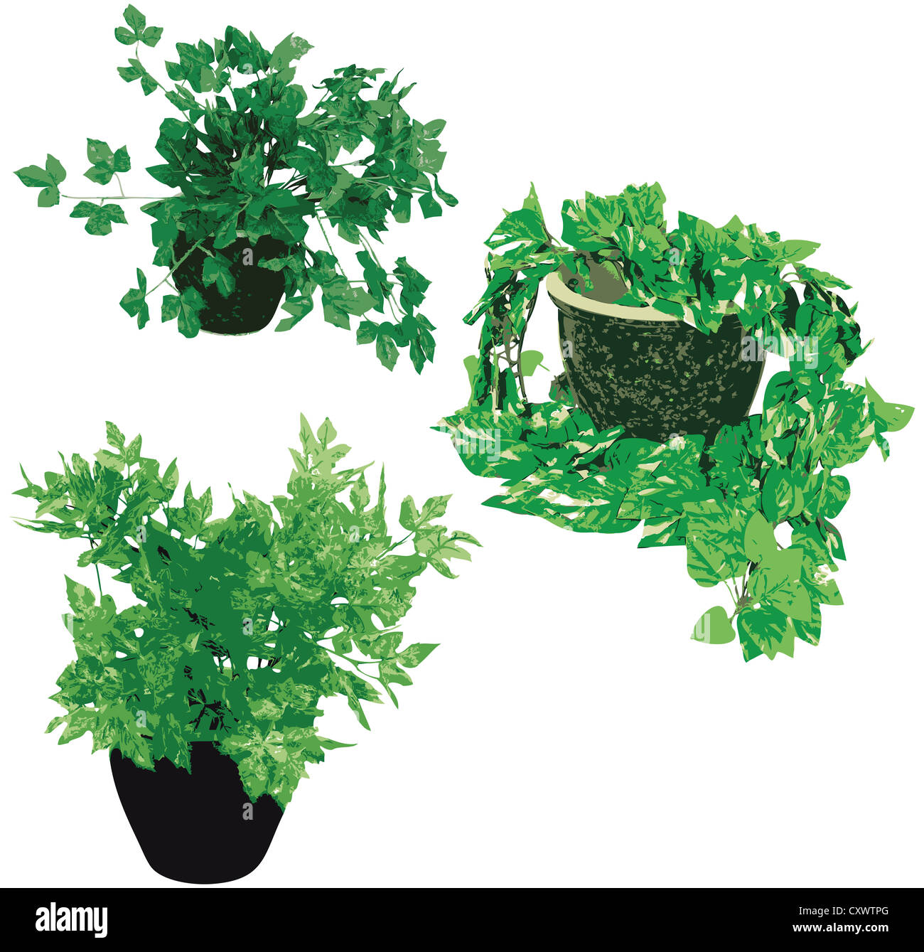 Putted hi-res stock photography and images - Alamy