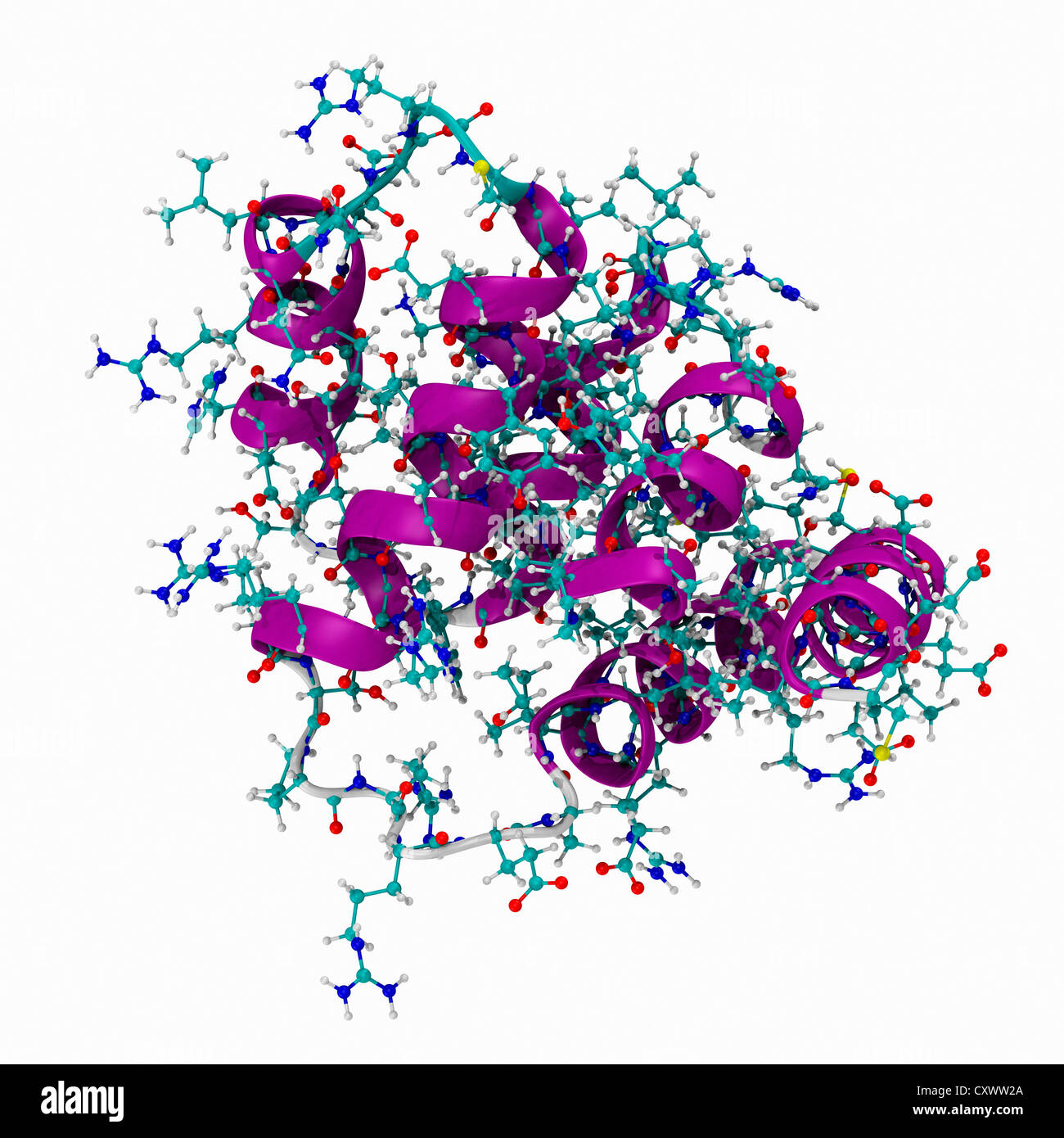 molecular model of tumor necrosis factor receptor Stock Photo - Alamy
