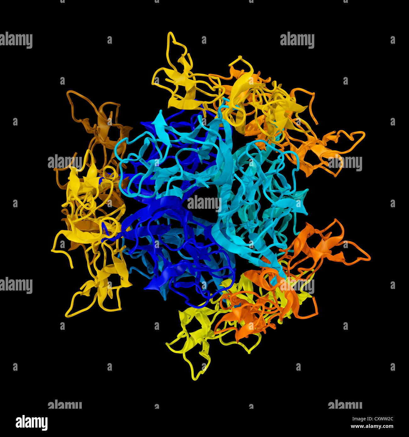 molecular model of tumor necrosis factor complex Stock Photo - Alamy