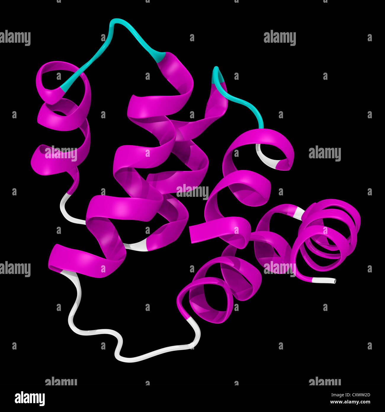3d model tumor necrosis factor hi-res stock photography and images - Alamy