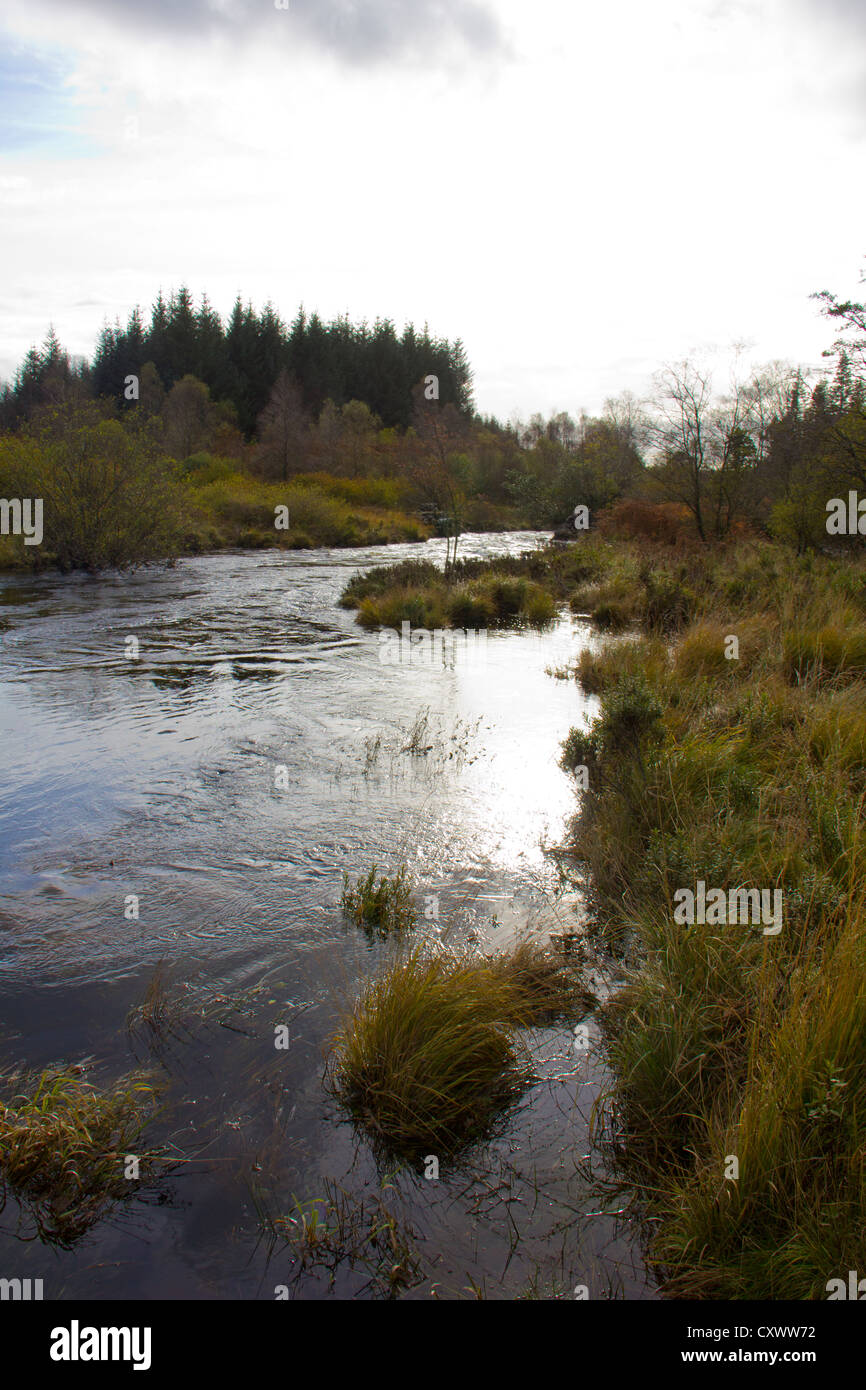 Water of Minnoch that Flows into River Cree in Galloway Forest in ...