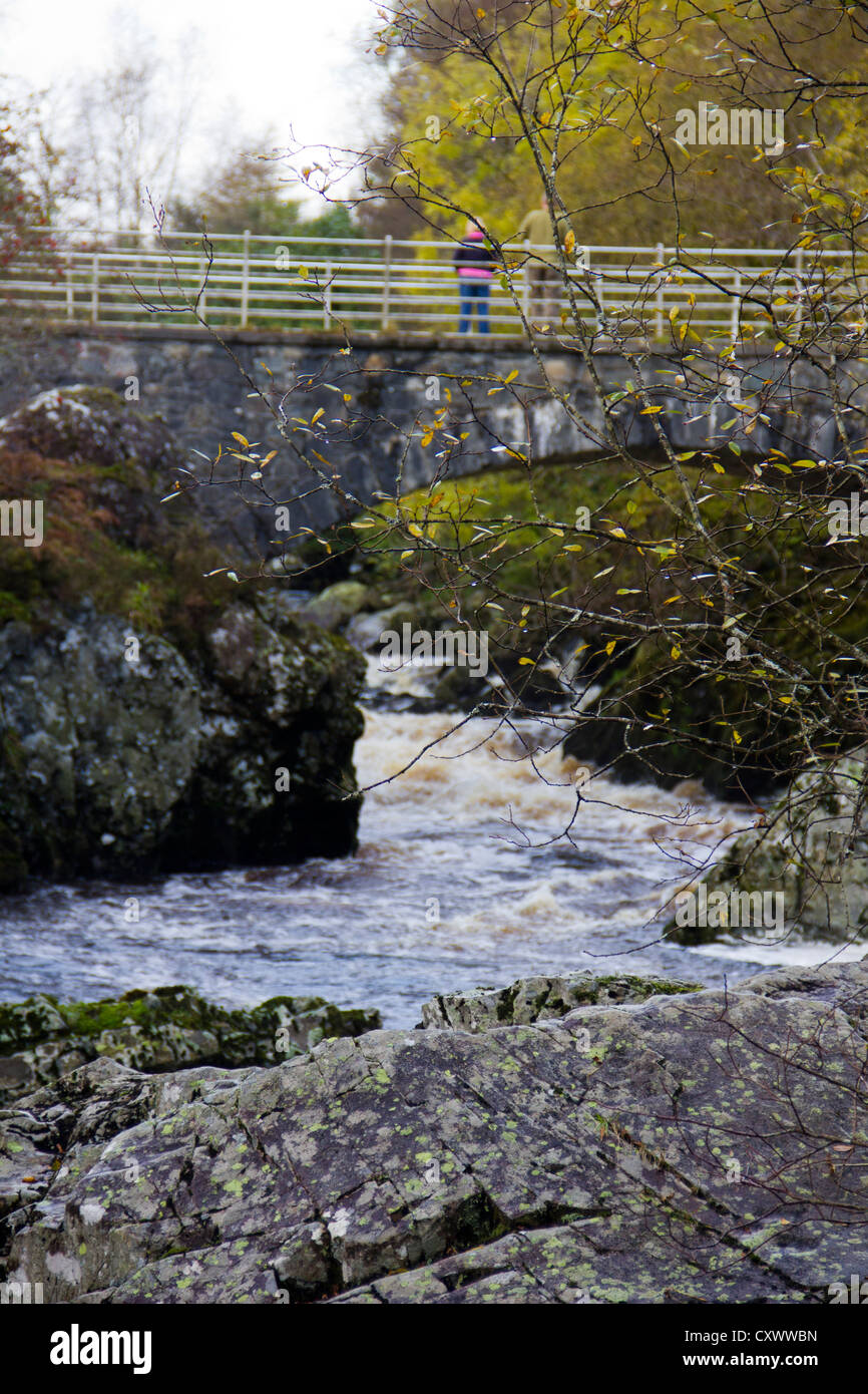 Stroan Bridge in Galloway Forest Park in Scotland Stock Photo - Alamy
