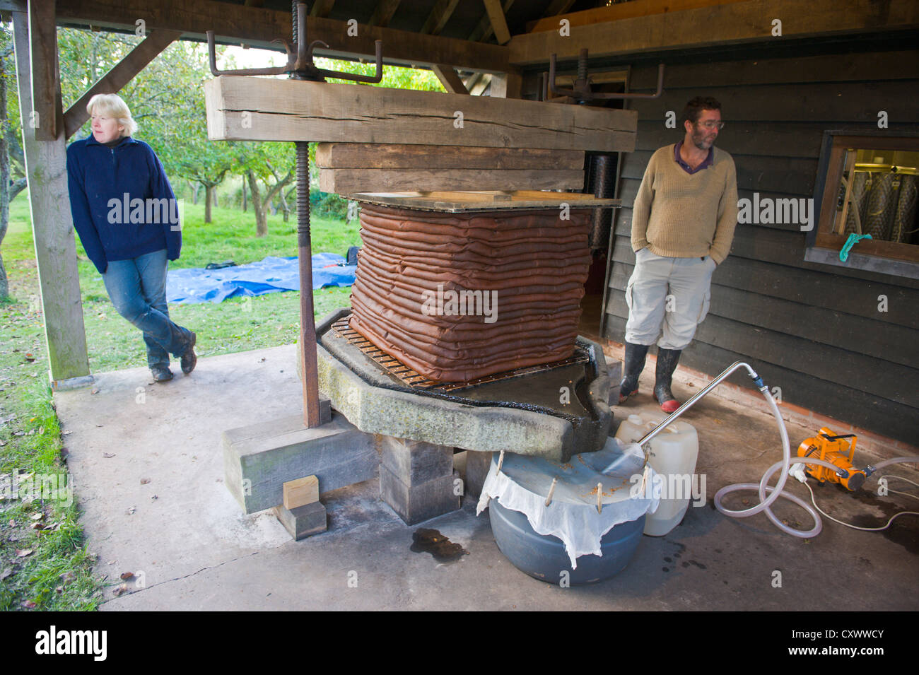 Pressing cider on Big Apple Day at Greggs Pit Much Marcle Herefordshire ...