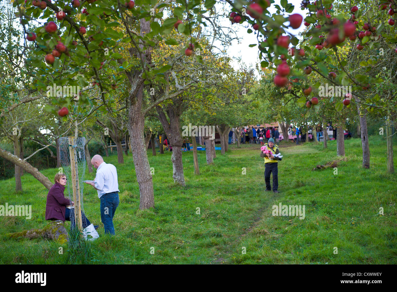 Visitors stroll around the cider orchard on Big Apple Day at Greggs Pit ...
