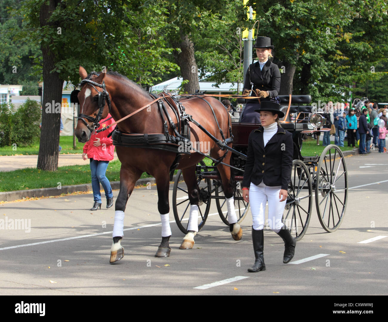 Horse drawn carriage 1900s hi-res stock photography and images - Alamy