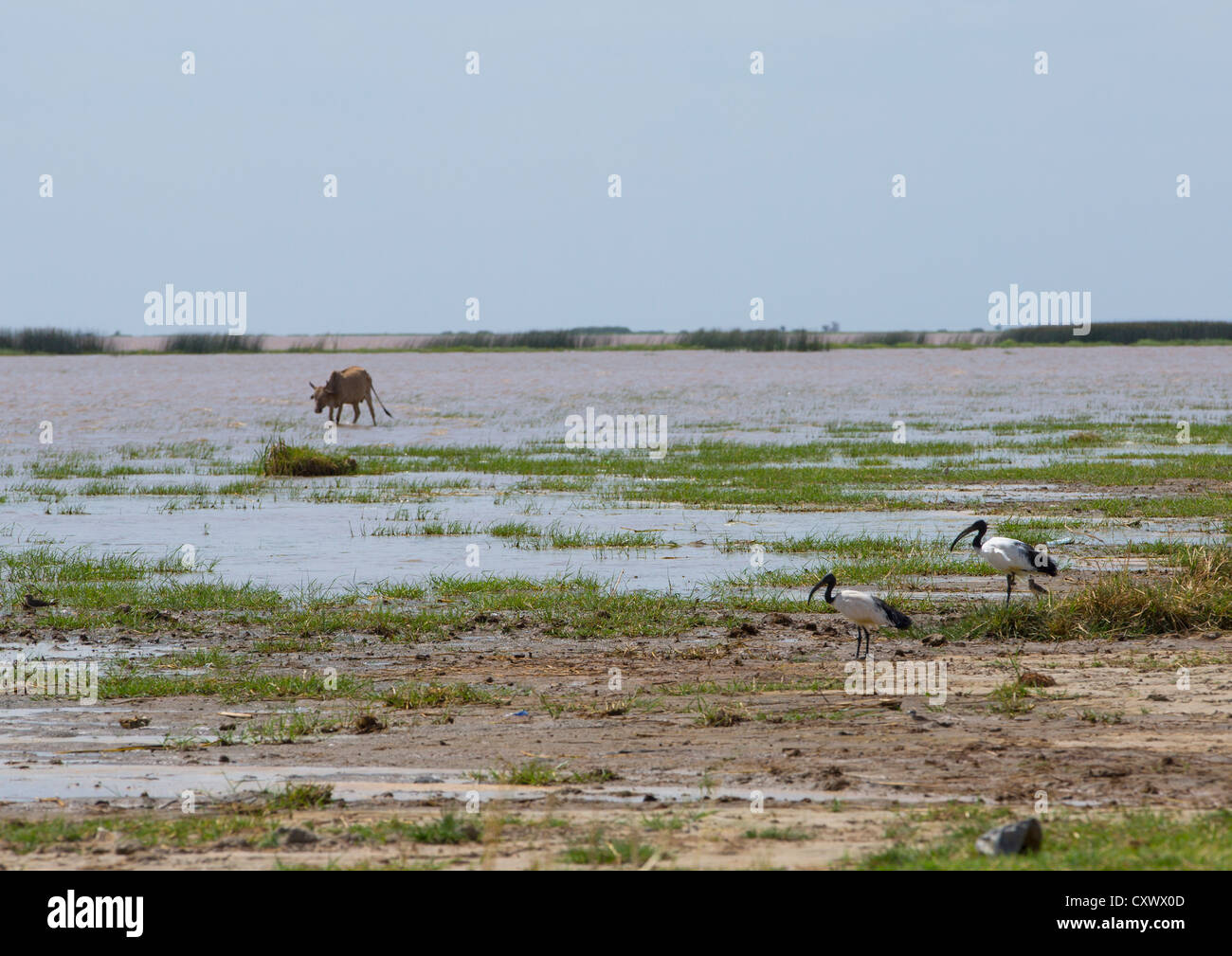 North Part Of Lake Turkana, Omo Valley, Ethiopia Stock Photo - Alamy