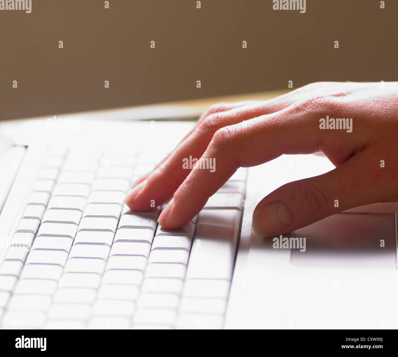female at computer hands Stock Photo - Alamy