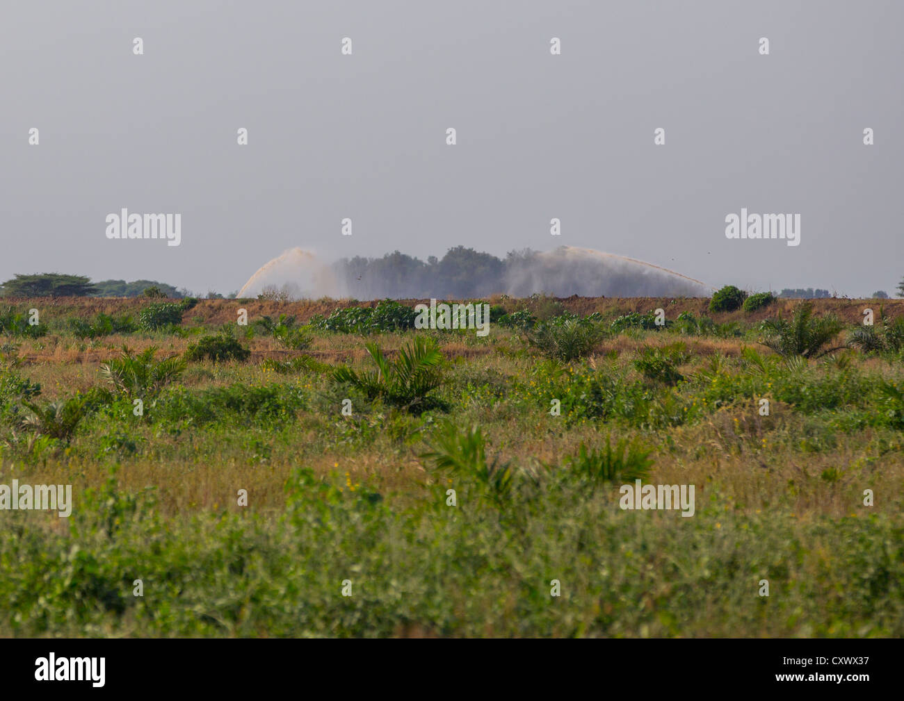 Irrigation agricultural ethiopia hi-res stock photography and images ...