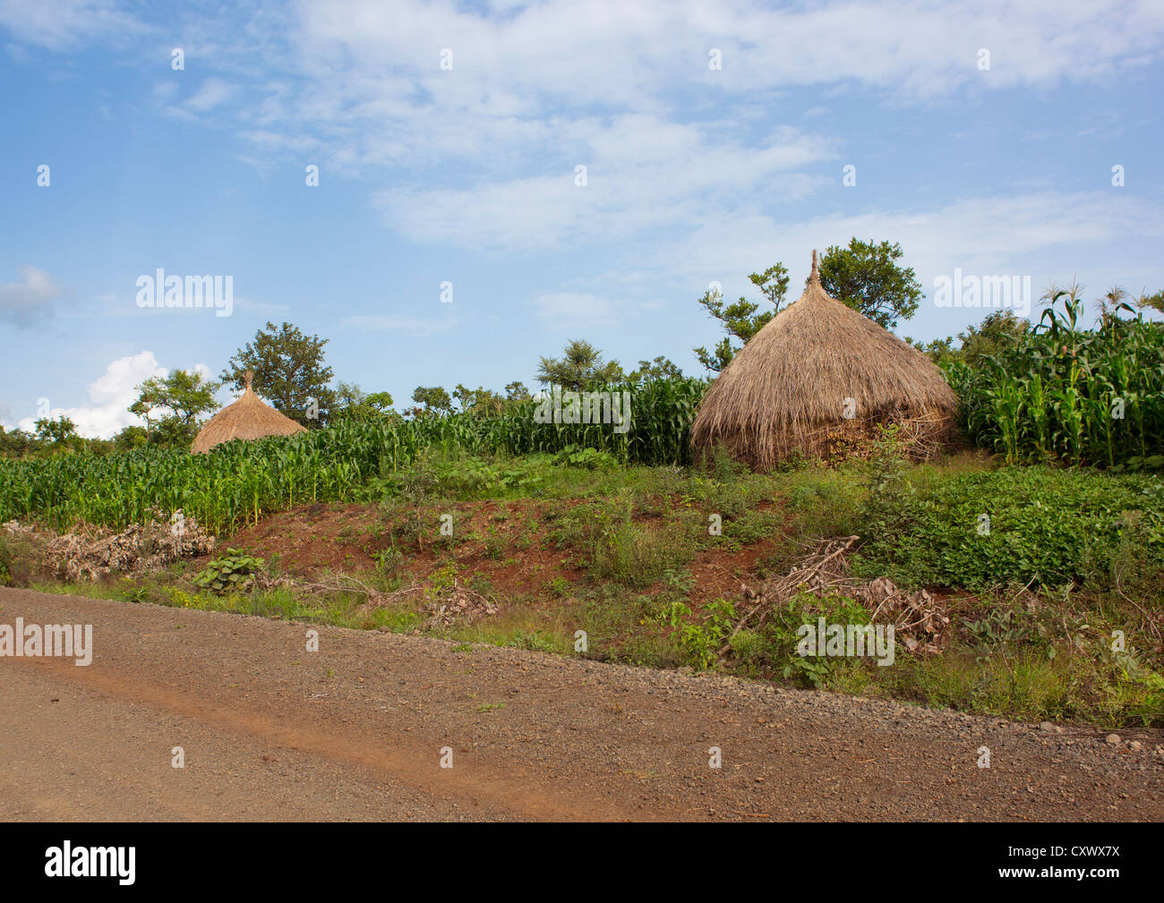 Menit Tribe Huts, Jemu, Omo Valley, Ethiopia Stock Photo - Alamy