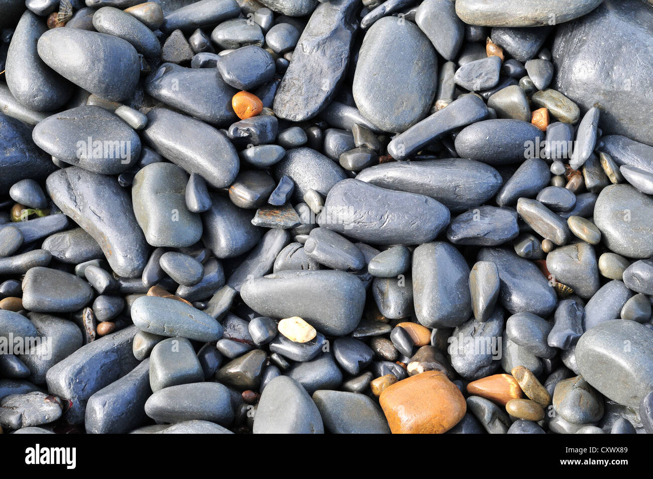 Well rounded hi-res stock photography and images - Alamy