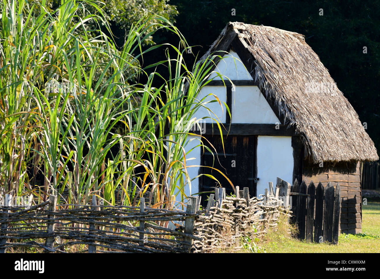 17th Century settler's crop storage shelter Stock Photo - Alamy