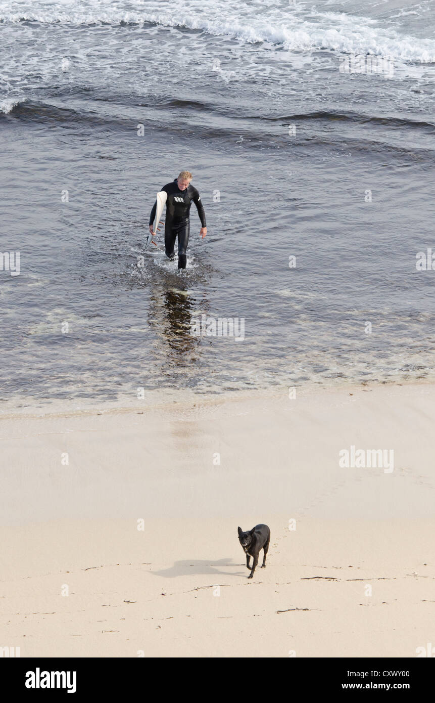 Middle aged australian surfer hi-res stock photography and images - Alamy