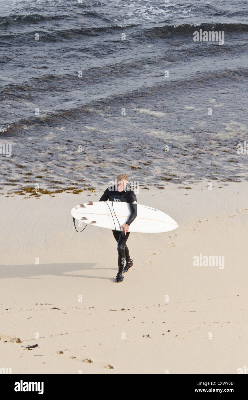 Middle aged australian surfer hi-res stock photography and images - Alamy