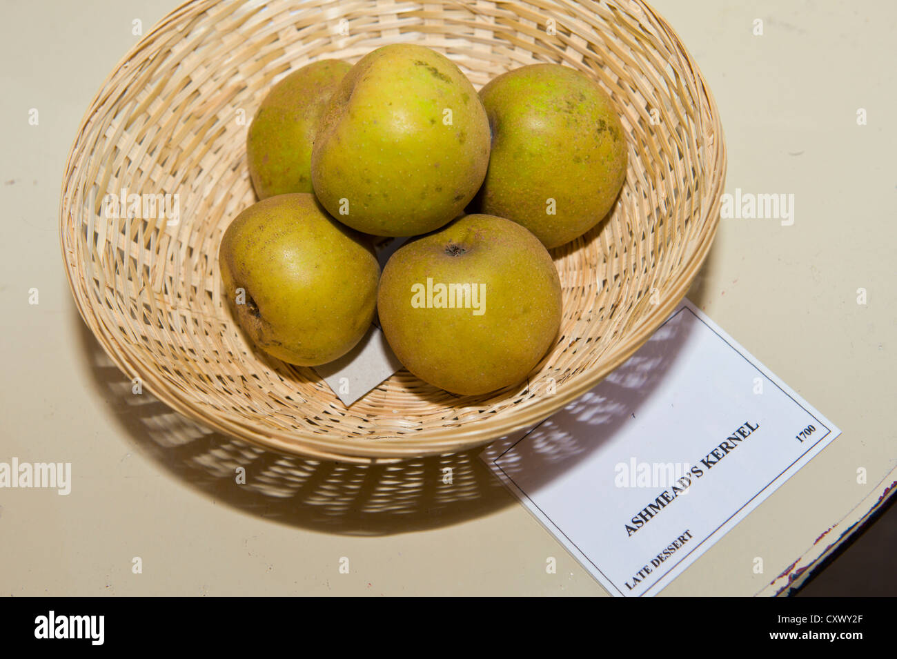 Apple ‘ashmead’s kernel’ hi-res stock photography and images - Alamy