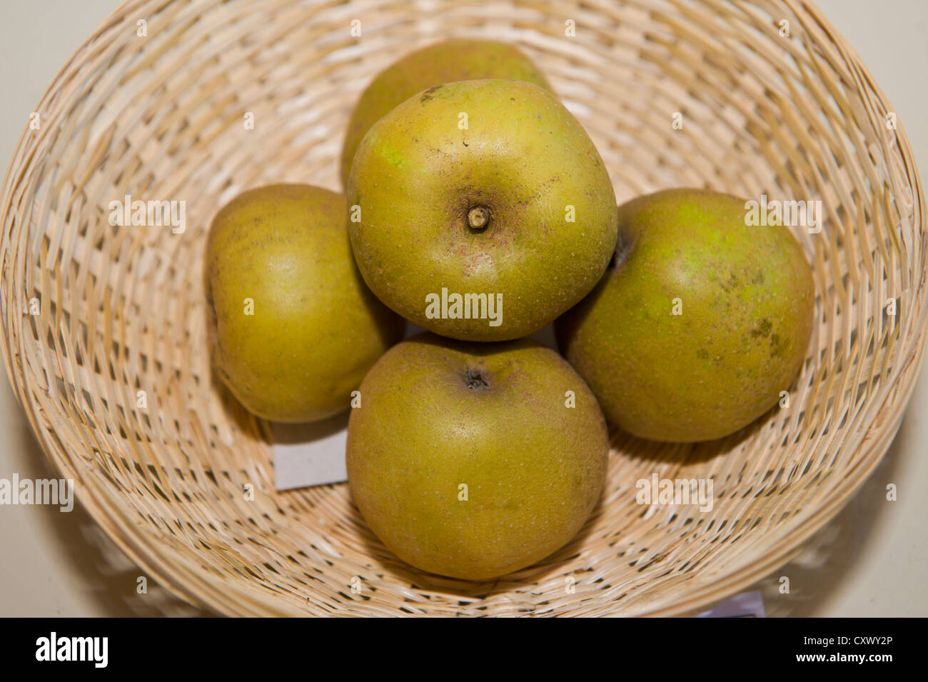 ‘ashmead’s kernel’ hi-res stock photography and images - Alamy