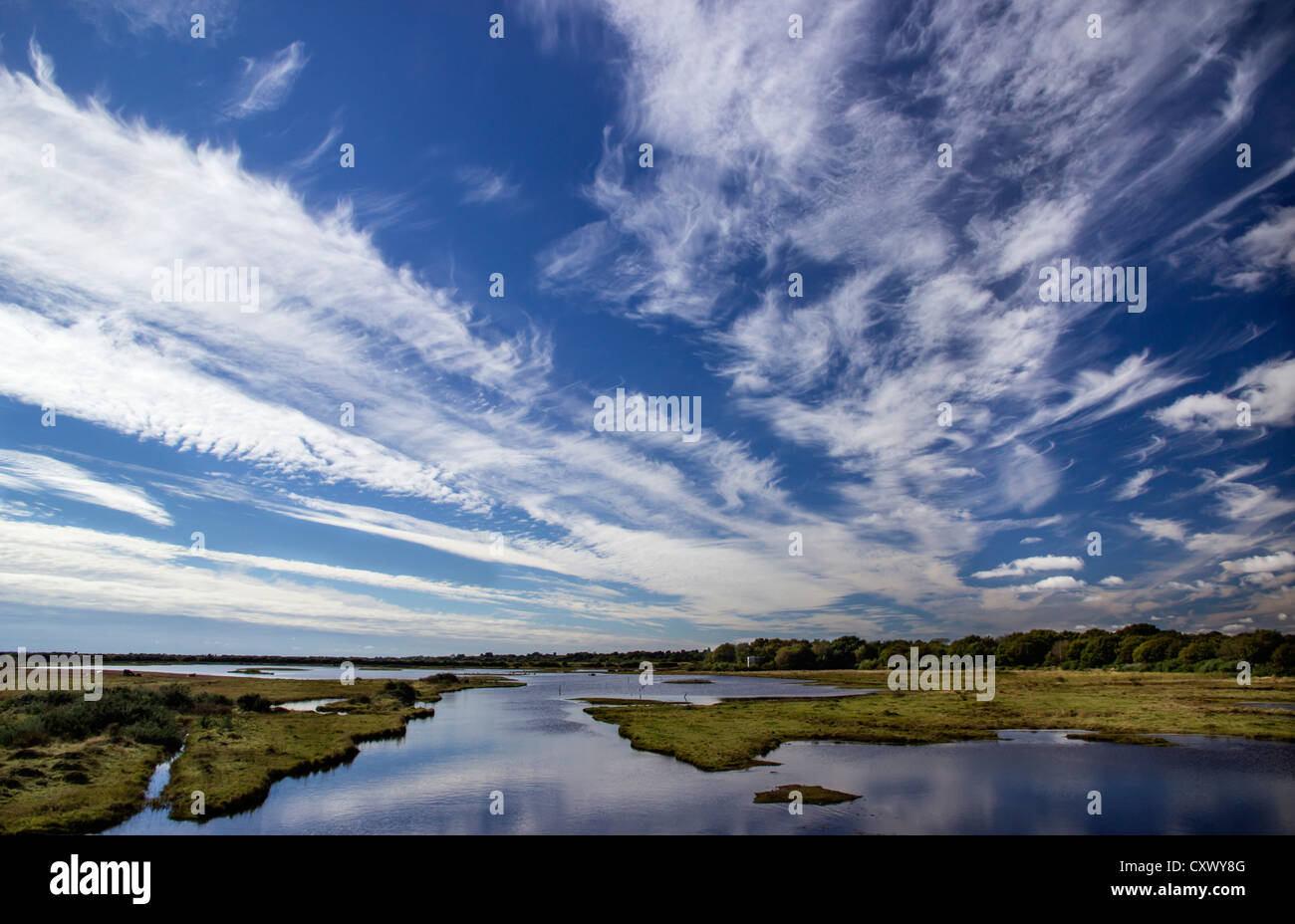 Reed beds and marshes hi-res stock photography and images - Alamy