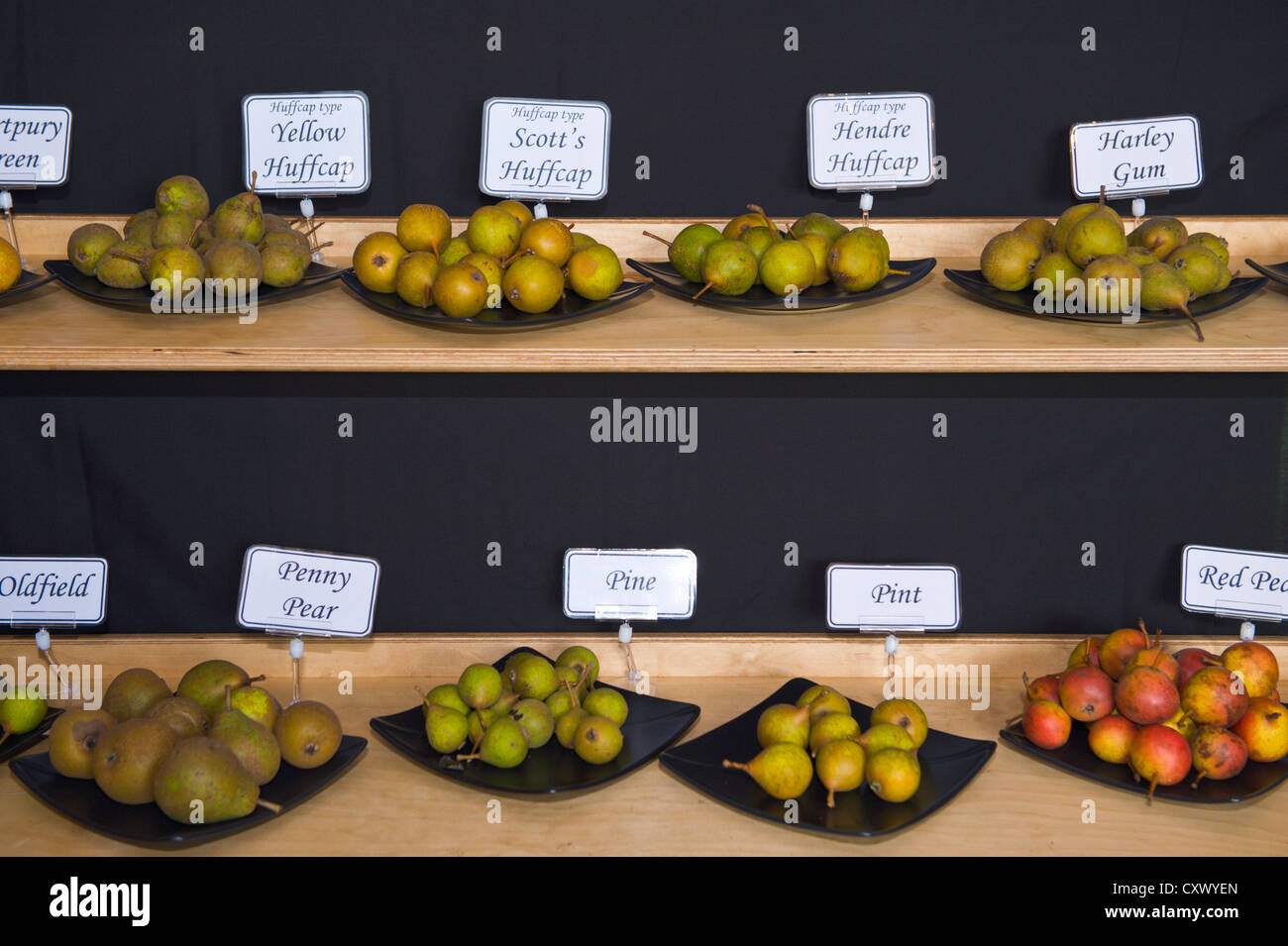 Perry pears on display during Big Apple Day at Much Marcle ...