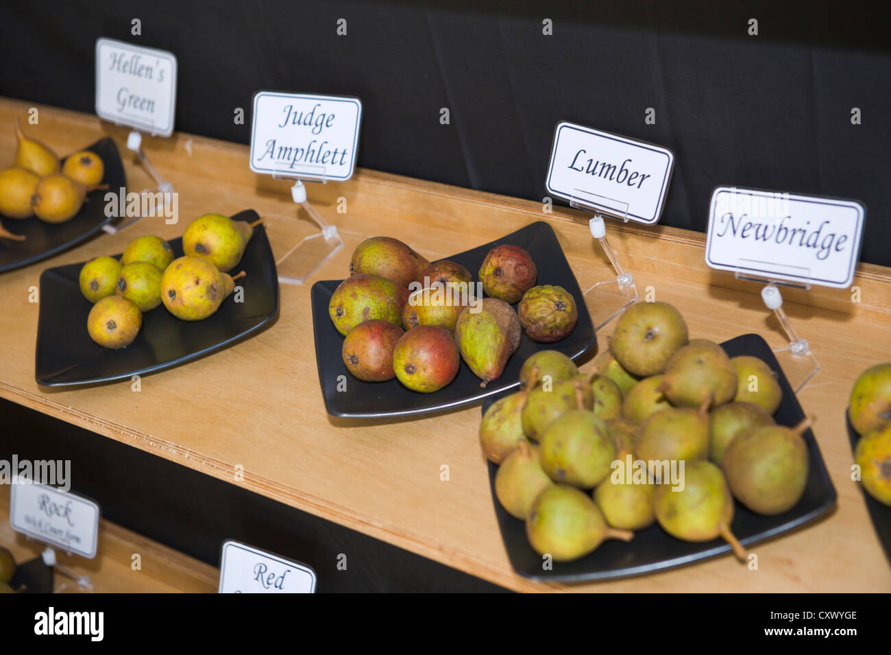 Perry pears on display during Big Apple Day at Much Marcle ...