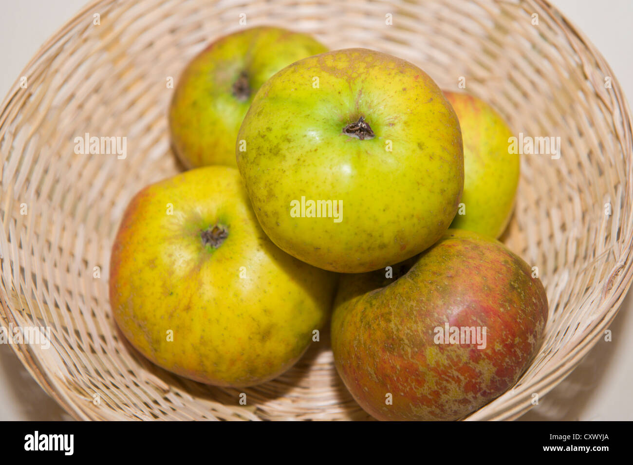 Queen apples in basket on display during Big Apple Day at Much Marcle ...