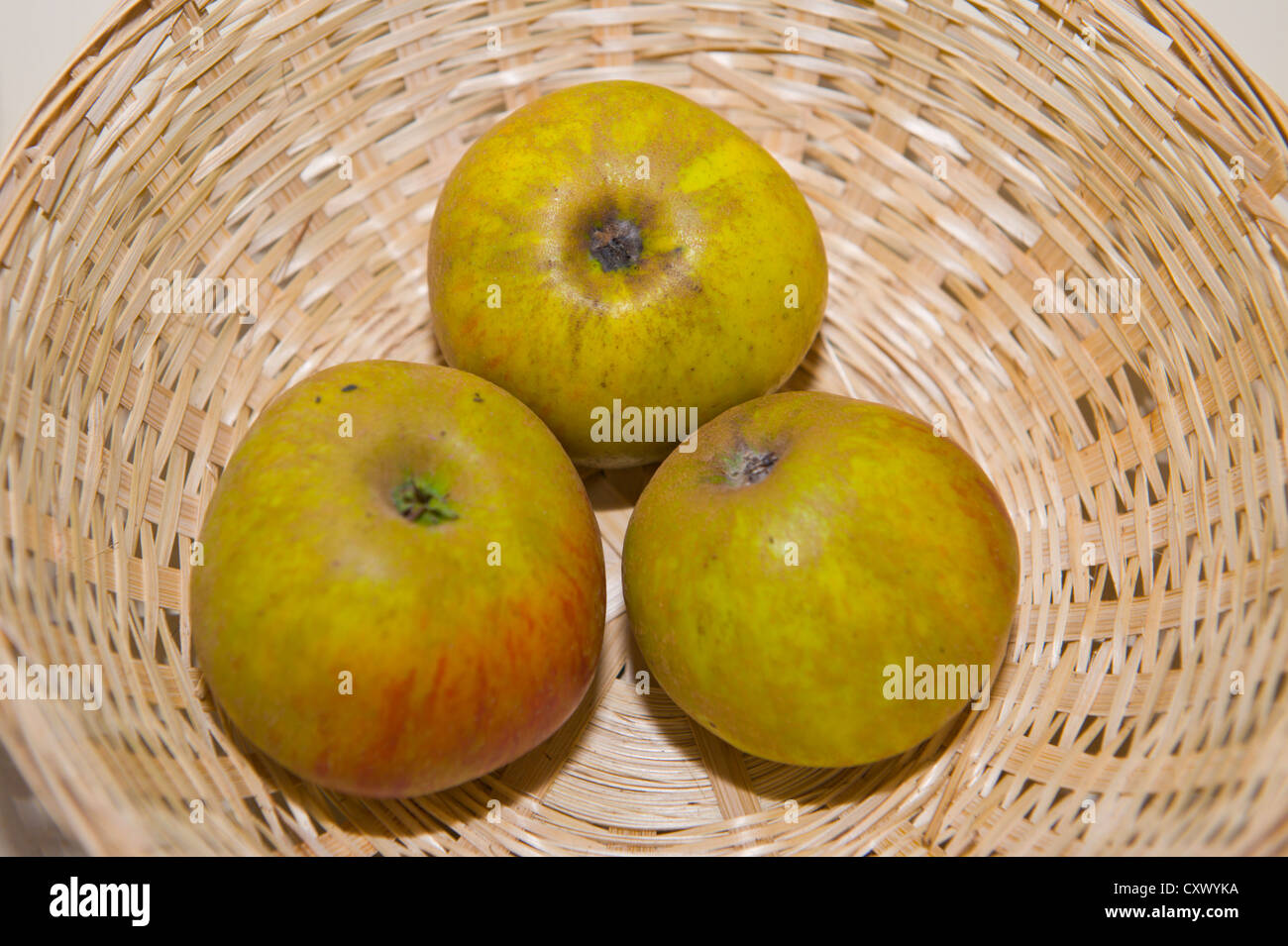 Heritage apple varieties hi-res stock photography and images - Alamy Heritage apple varieties hi-res stock photography and images - Alamy