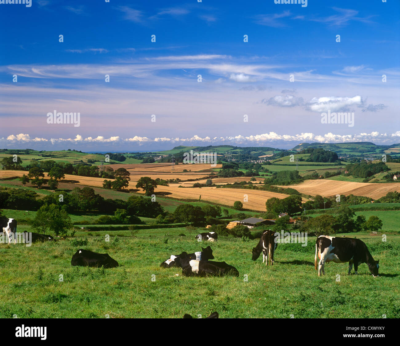 Powerstock hi-res stock photography and images - Alamy