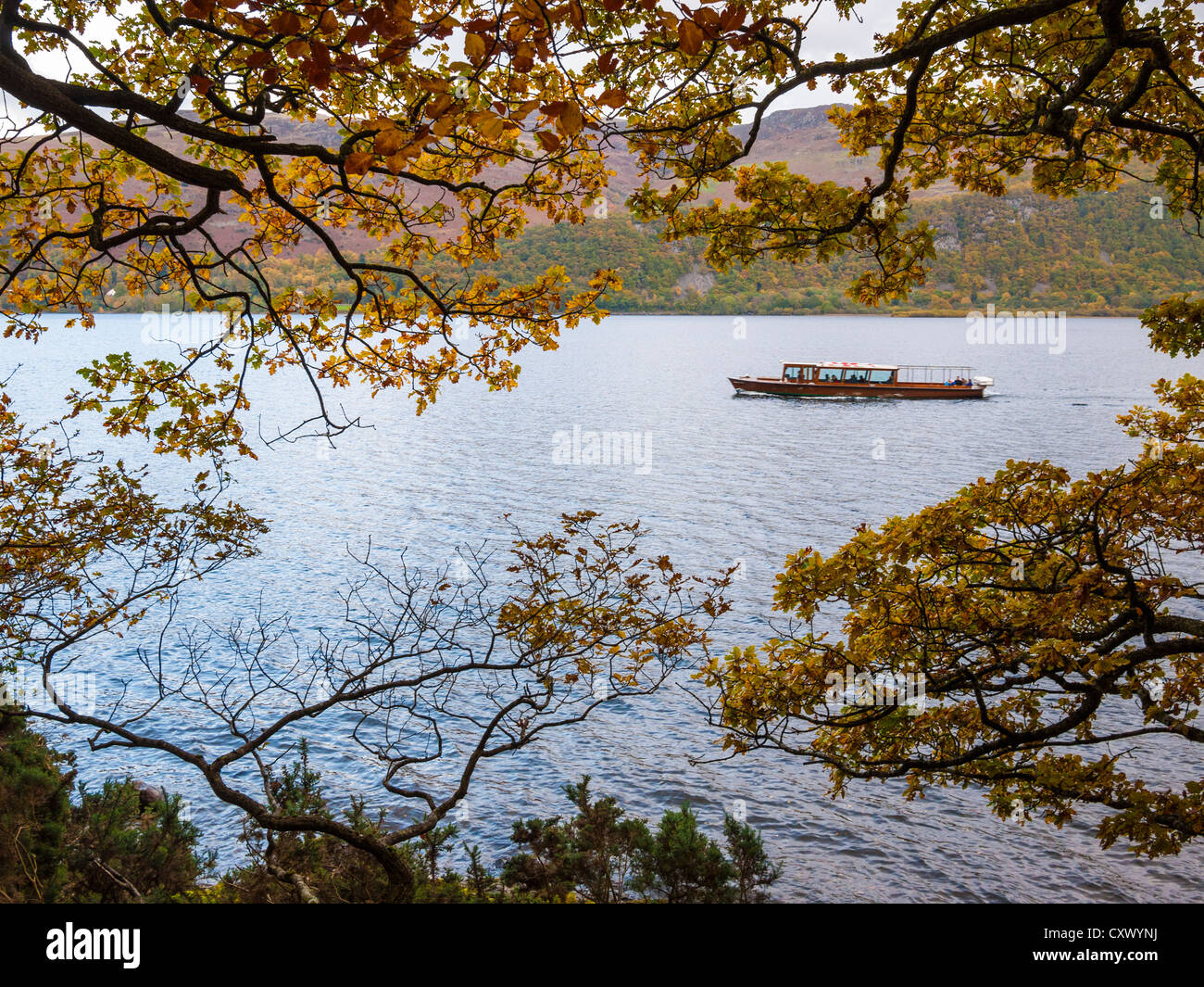 A passenger ferry on Derwent Water viewed through trees from Brandelhow ...