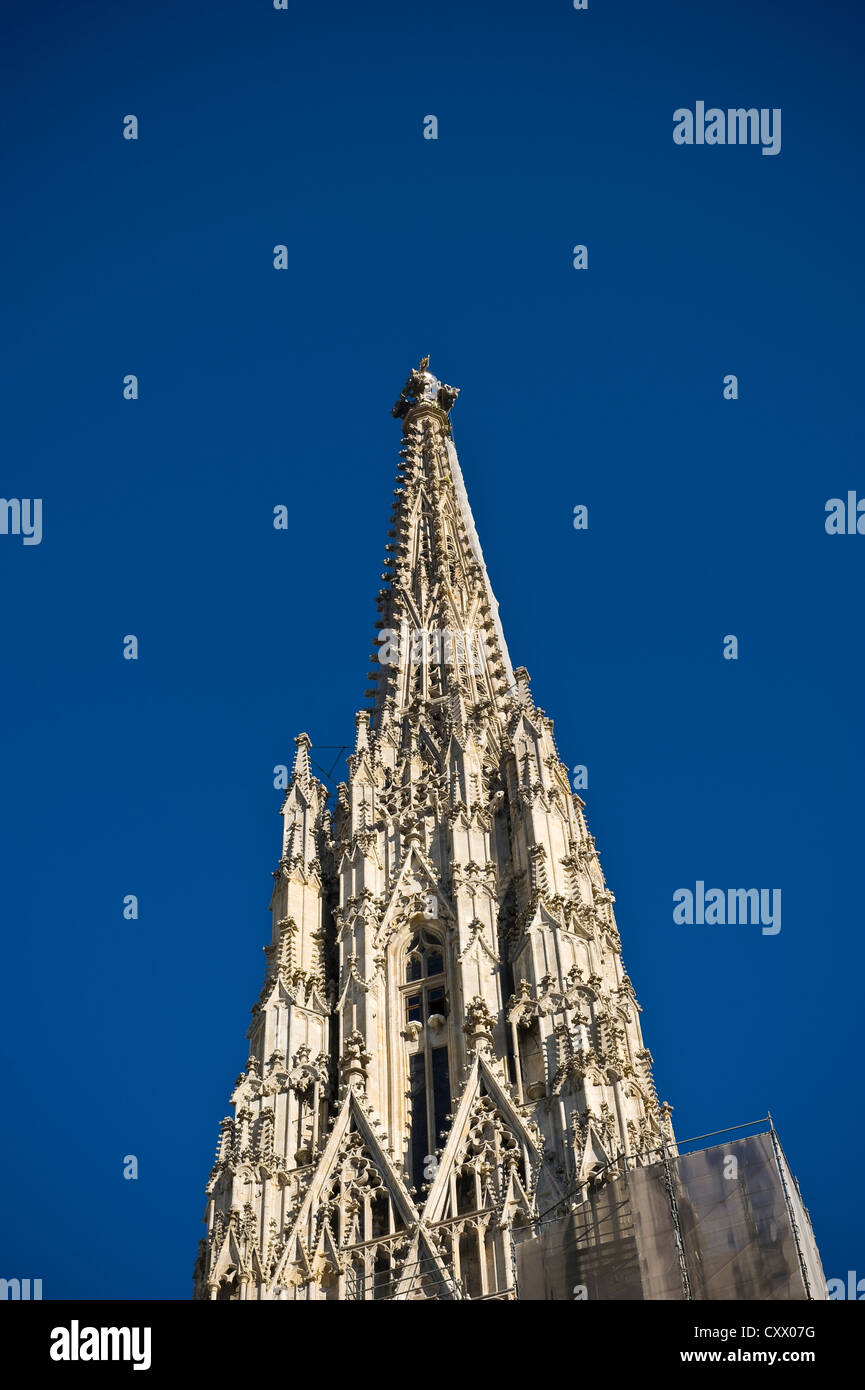 Stephansdom hi-res stock photography and images - Alamy