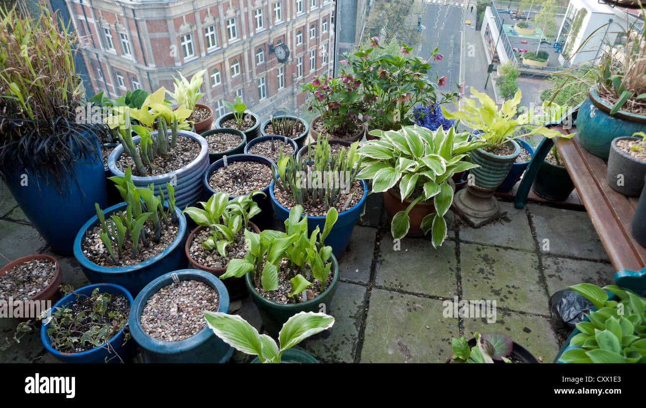 Balcony garden hi-res stock photography and images - Alamy